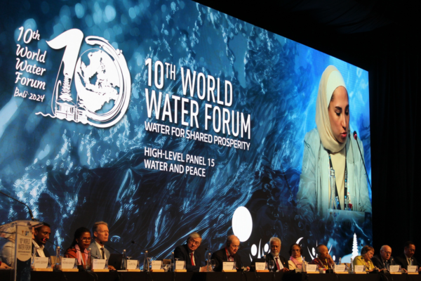 Archives: Actions | World Youth Parliament for Water